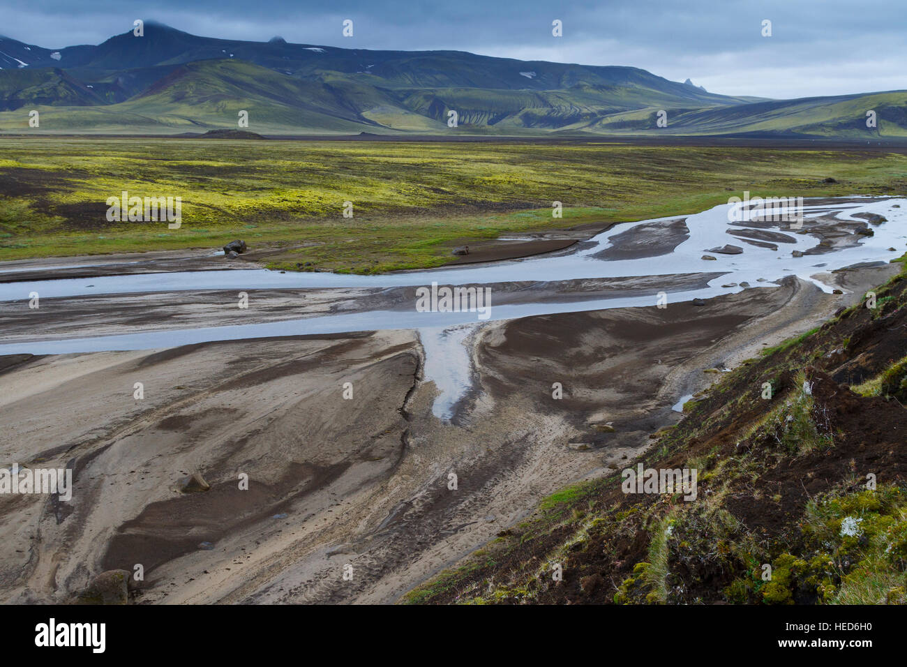 Tundra grassland hi-res stock photography and images - Alamy