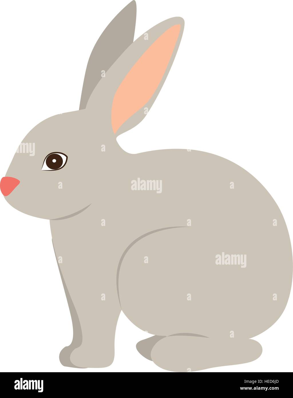 Rabbit cartoon icon. Animal cute life nature theme. Isolated design ...