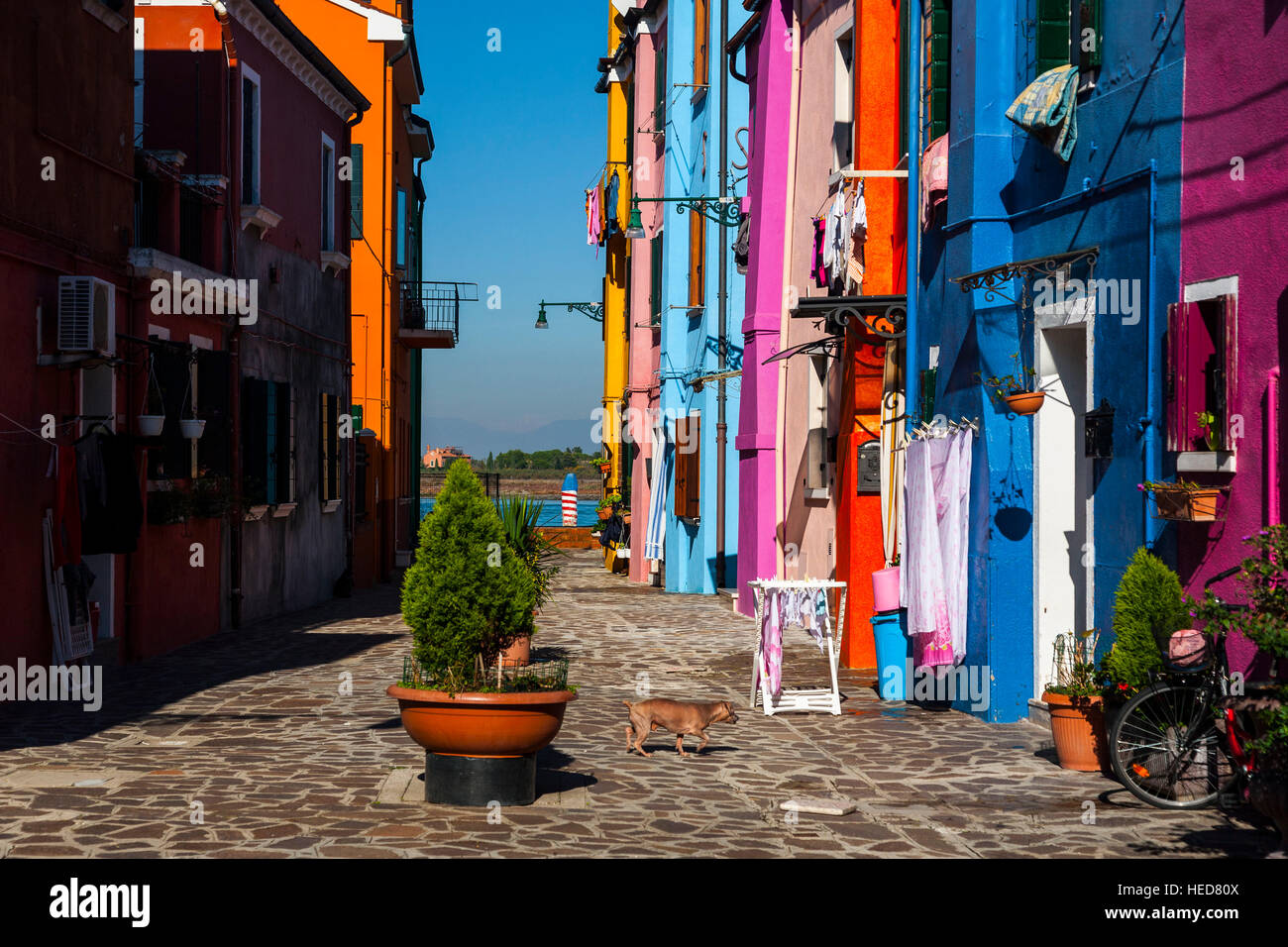 burano,italy,veneto,gospodarek mikolaj,Architecture,building,coloured ...
