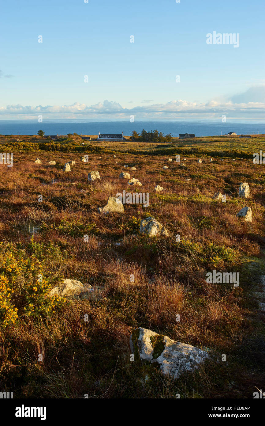 Wick caithness scotland hi-res stock photography and images - Alamy