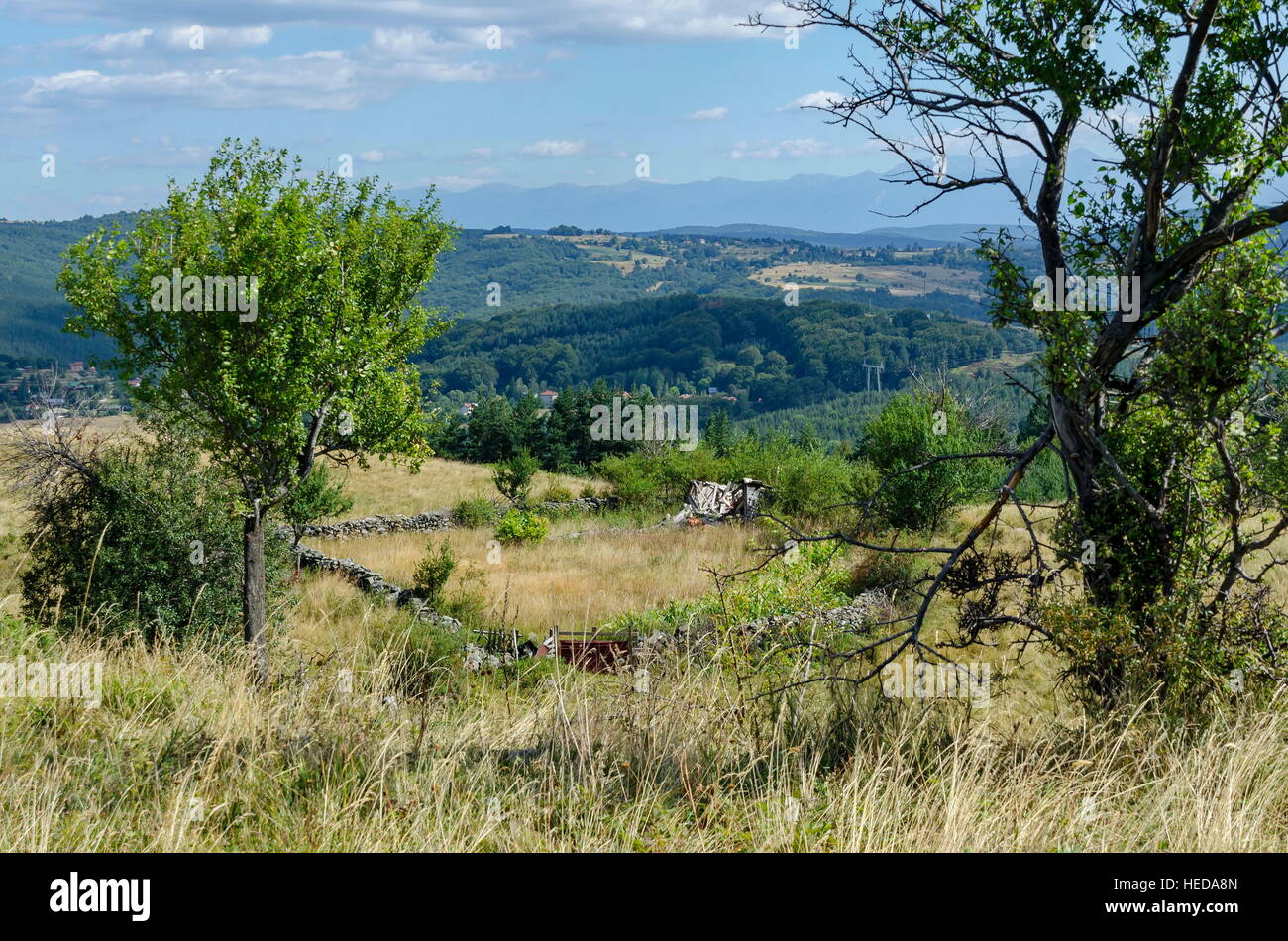 Panorama of glade and green forest in Vitosha mountain, Bulgaria Stock ...