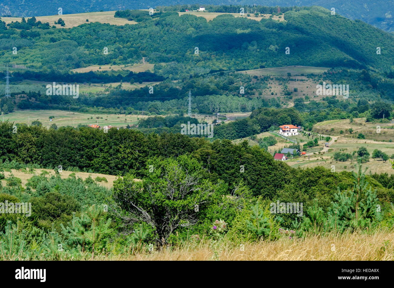 Panorama of glade, green mountain forest and wilderness field in ...