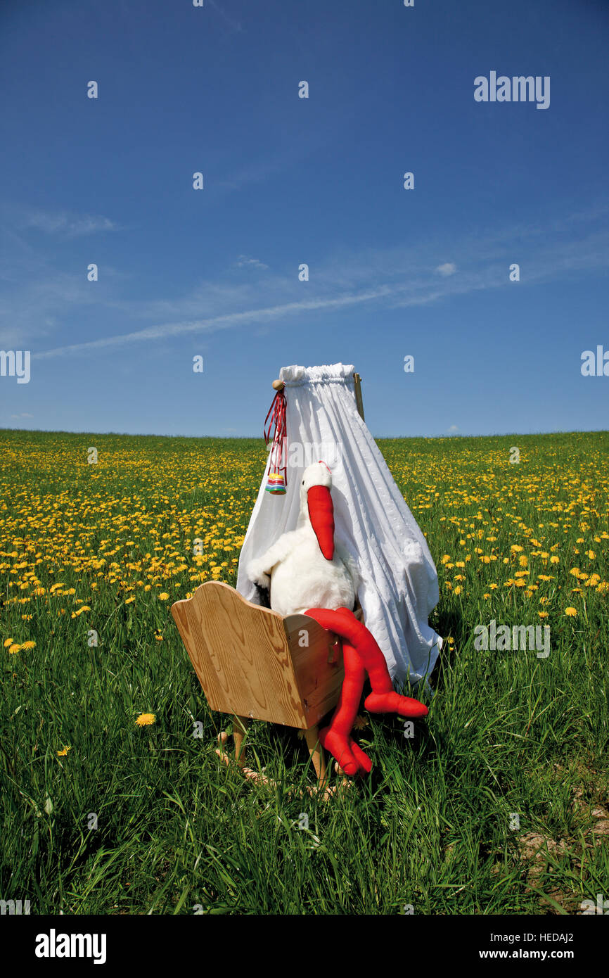 Stork sitting in a cradle Stock Photo - Alamy