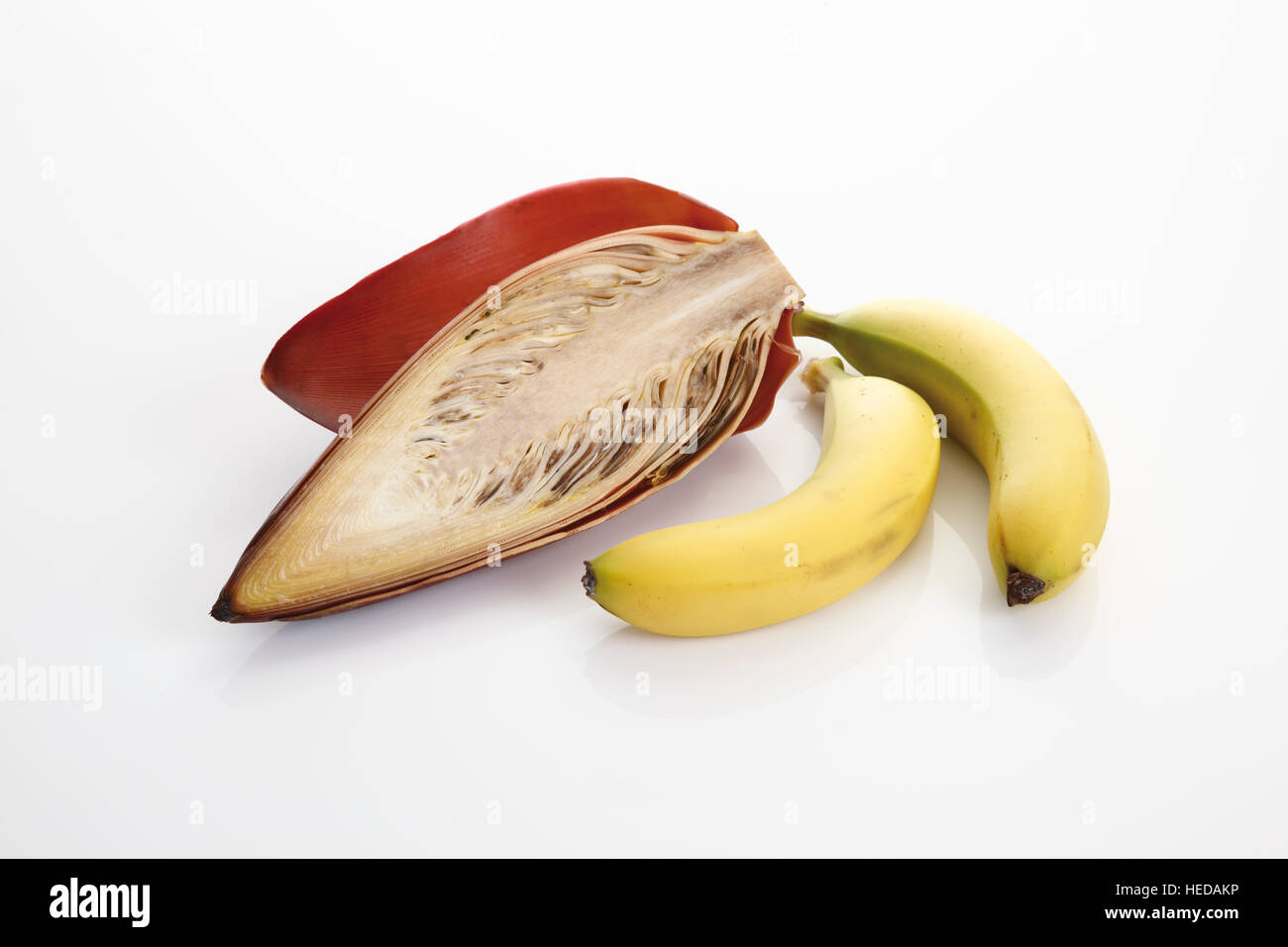 Banana flower cut in half next to two bananas (Musa x paradisiaca Stock ...
