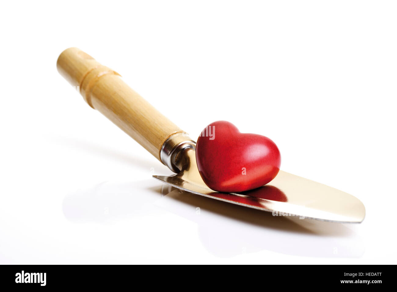 Pictures of a garden Cut Out Stock Images & Pictures - Alamy