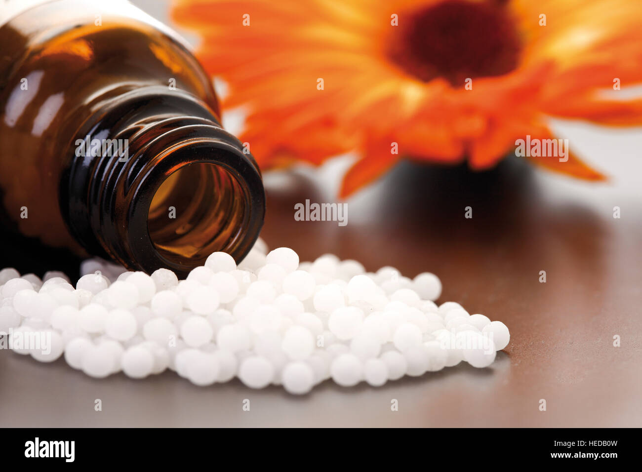 Globules calendula hi-res stock photography and images - Alamy