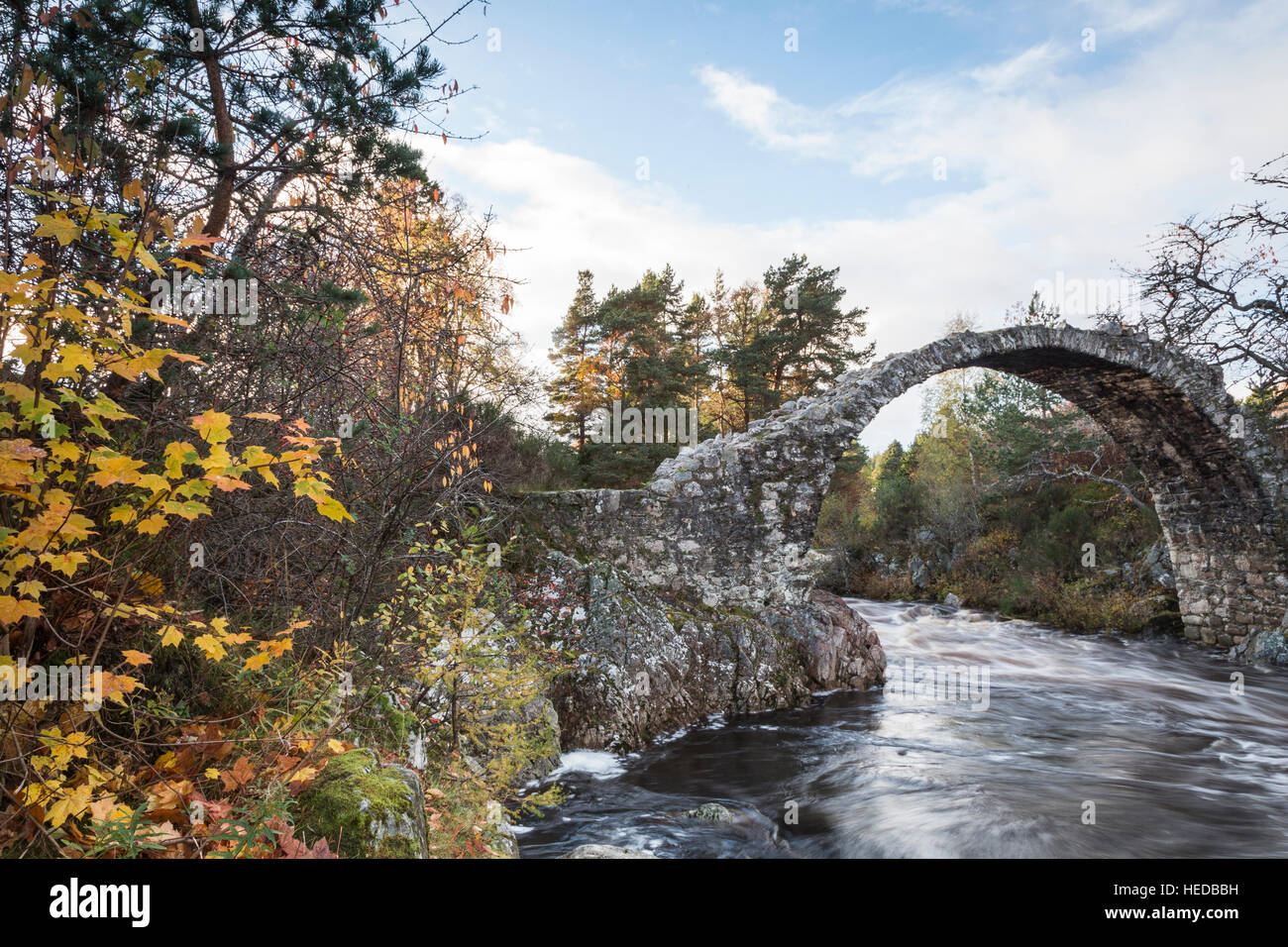 Packhorse Bridge at Carrbridge in the Highlands of Scotland Stock Photo ...
