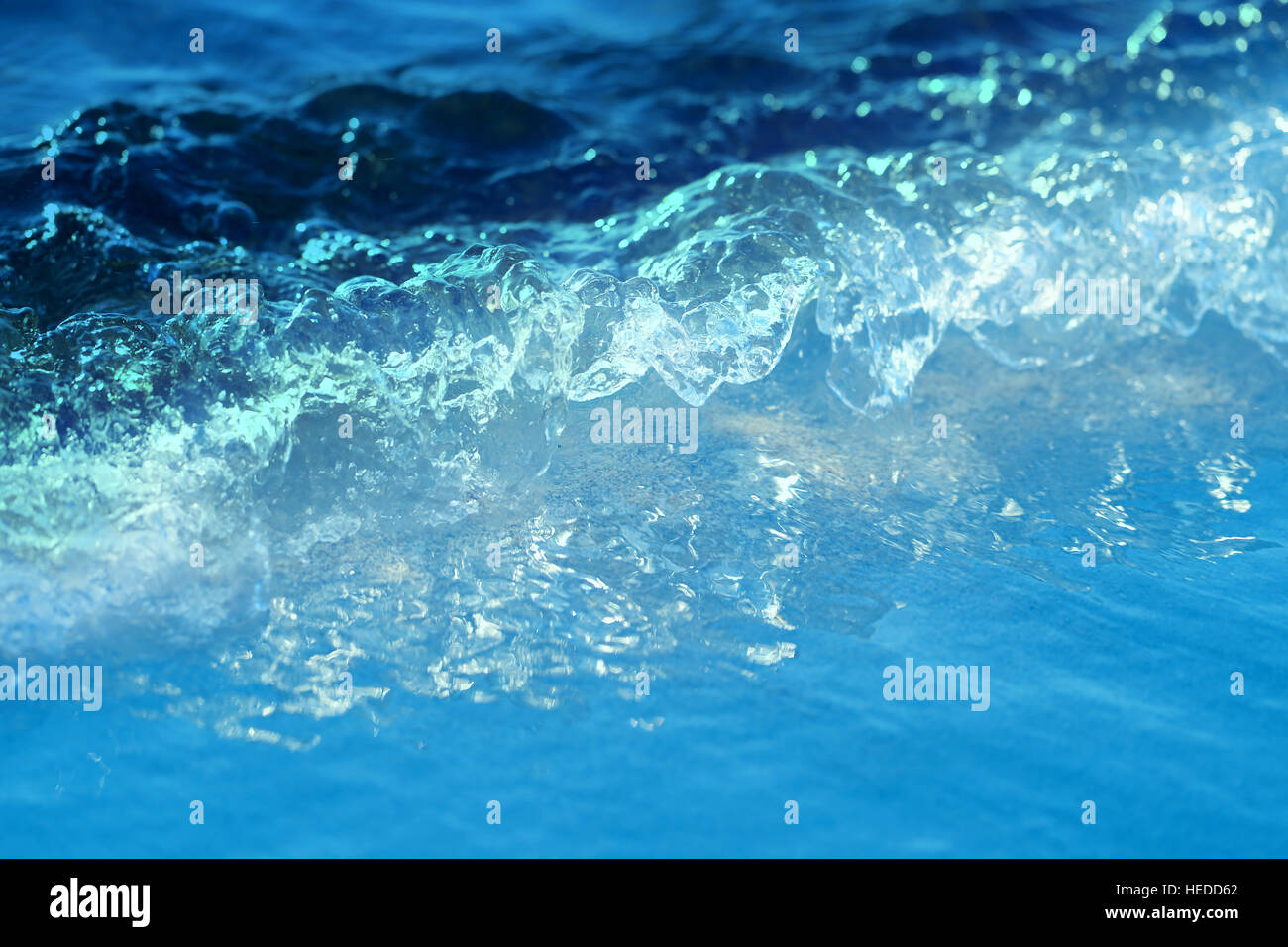 Macro sea hi-res stock photography and images - Alamy