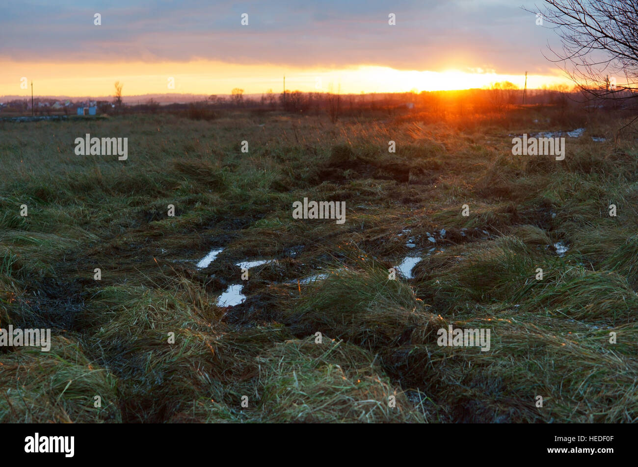 Open field sunset hi-res stock photography and images - Alamy
