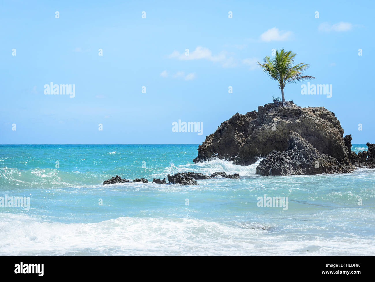 Mini island with a single coconut tree surrounded by sea water and some ...