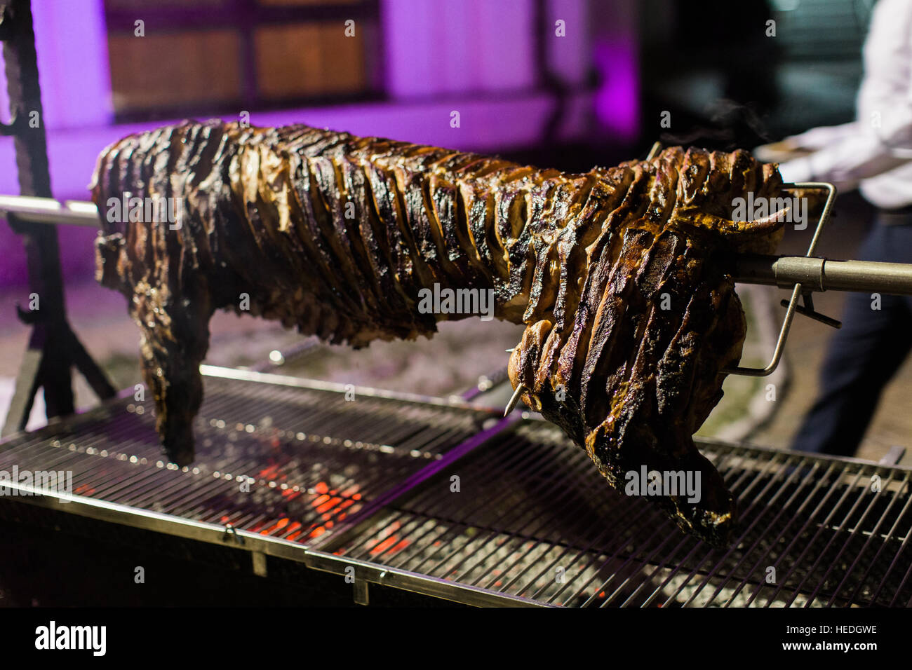 Party pig hi-res stock photography and images - Alamy