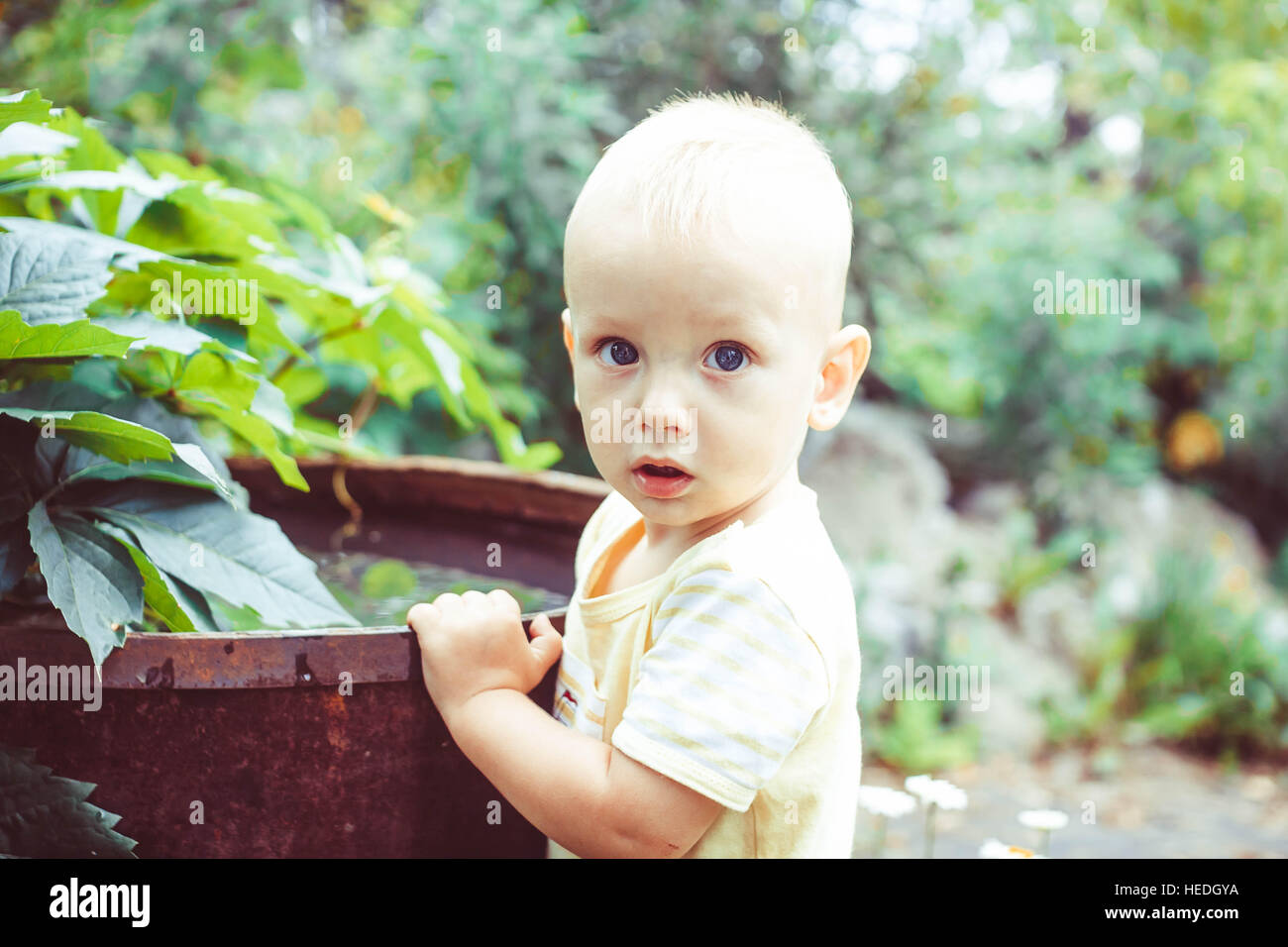child in nature Stock Photo - Alamy