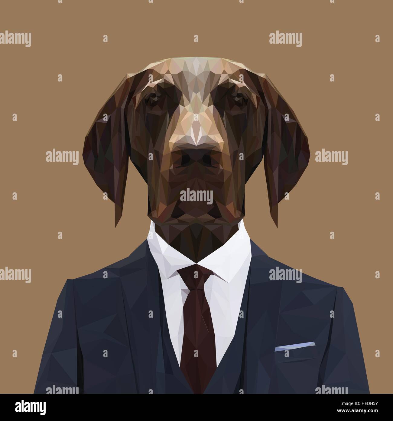 Pointer dog vector Stock Vector Images - Alamy