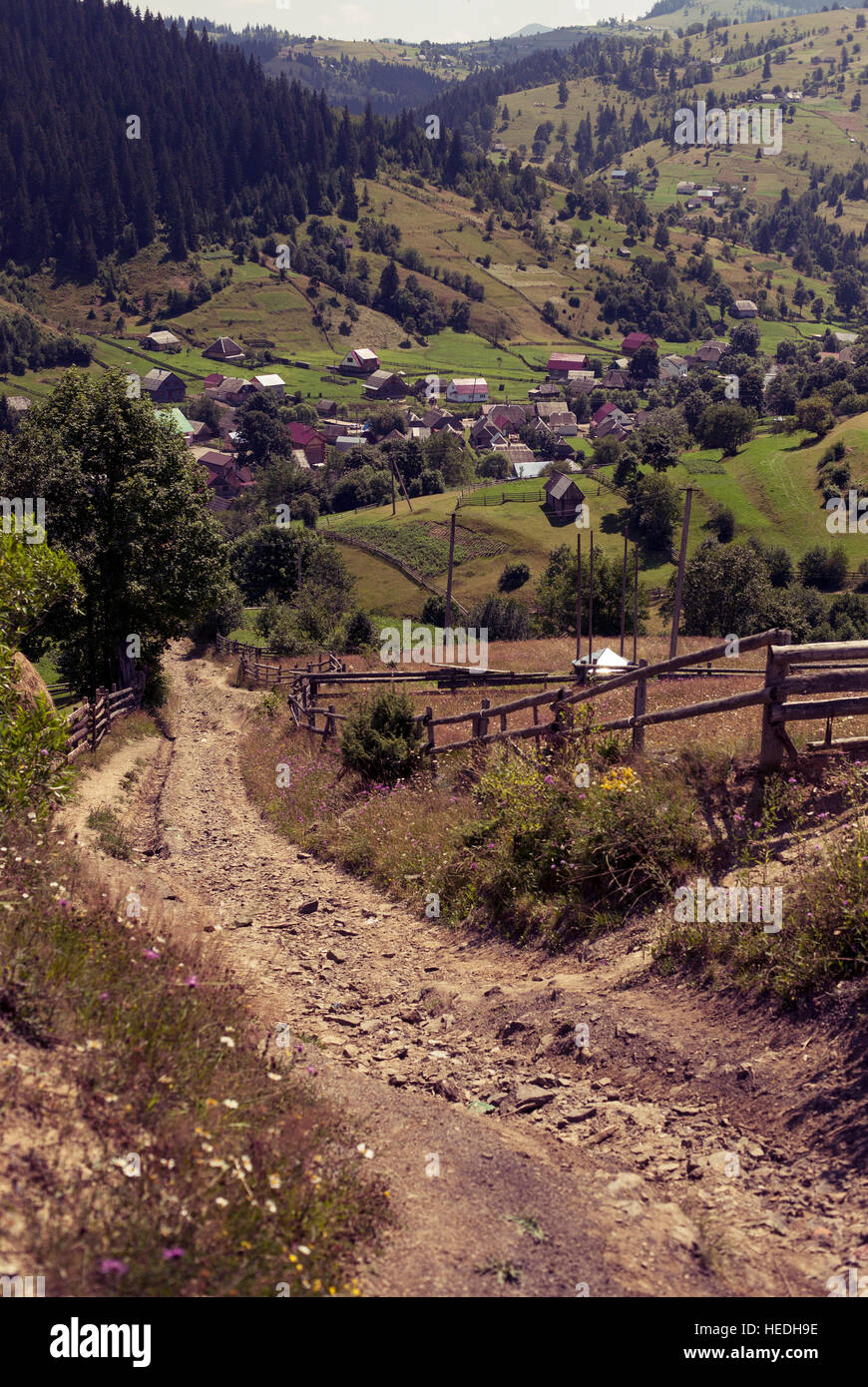 Rural nature Path in wild forest Stock Photo - Alamy