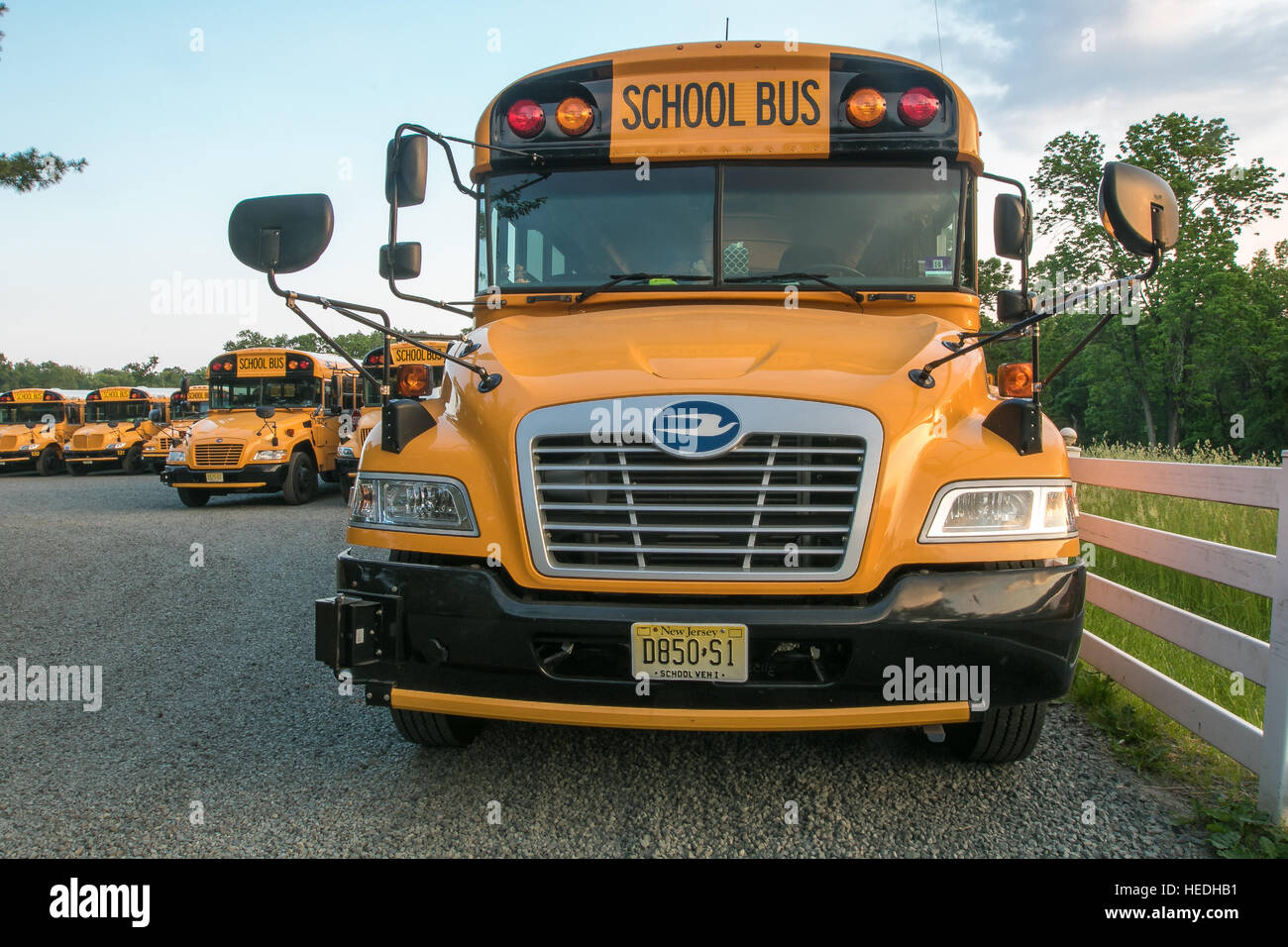 School buses are parked in a school bus parking lot by a field on a ...