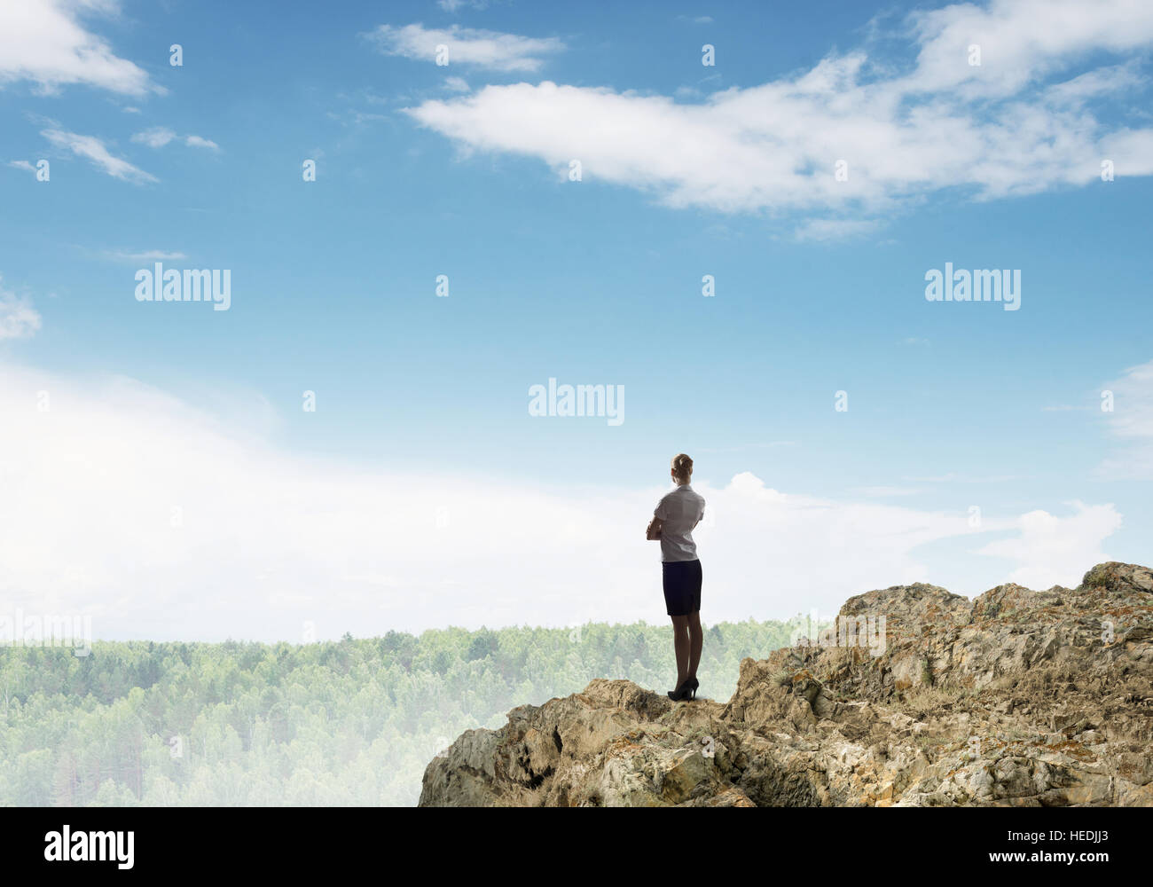Achieving top of success Stock Photo - Alamy