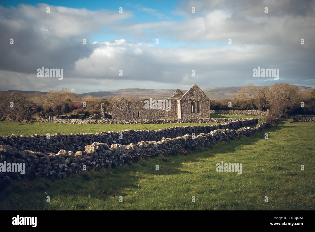 Kilmacduagh monastery with the Roand Tower was built in the seventh ...