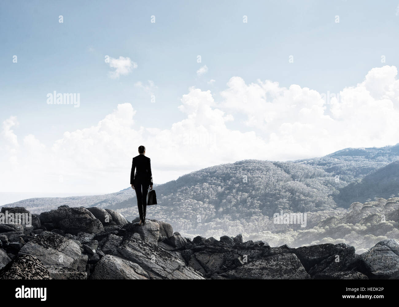 Achieving top of success Stock Photo - Alamy