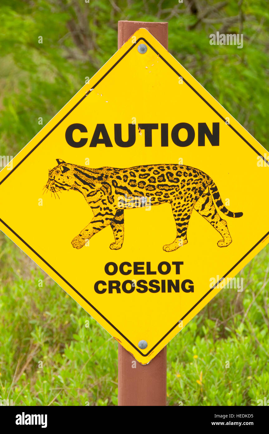 Ocelot road sign, Laguna Atascosa National Wildlife Refuge, Texas Stock ...