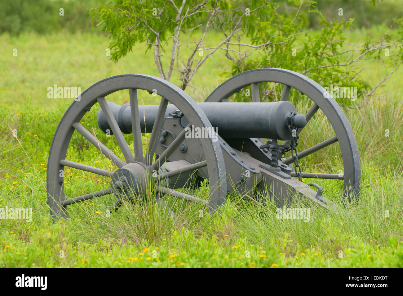 American cannon along Battlefield Trail, Palo Alto Battlefield National ...