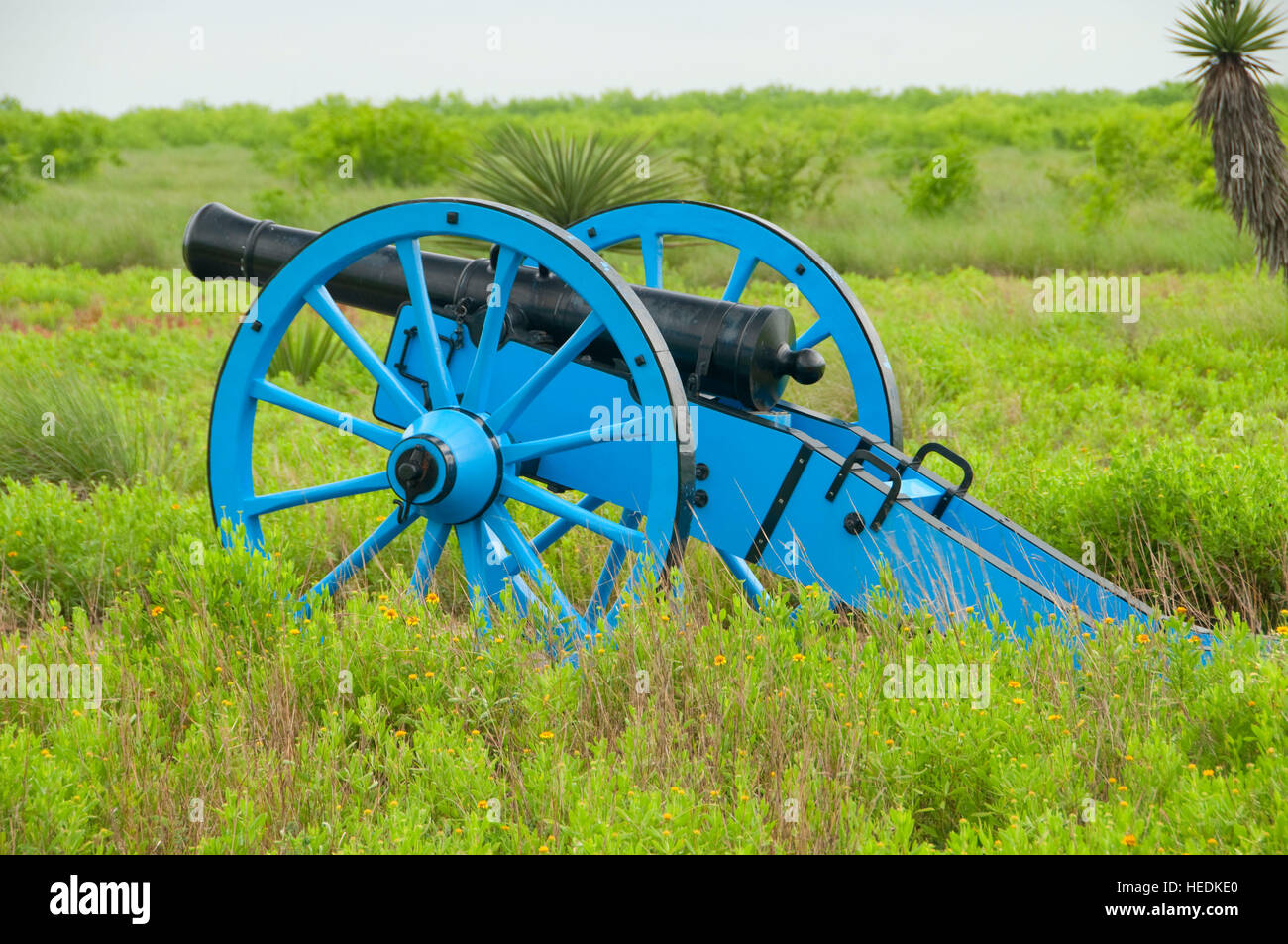 Mexican cannon along battlefield trail hi-res stock photography and ...