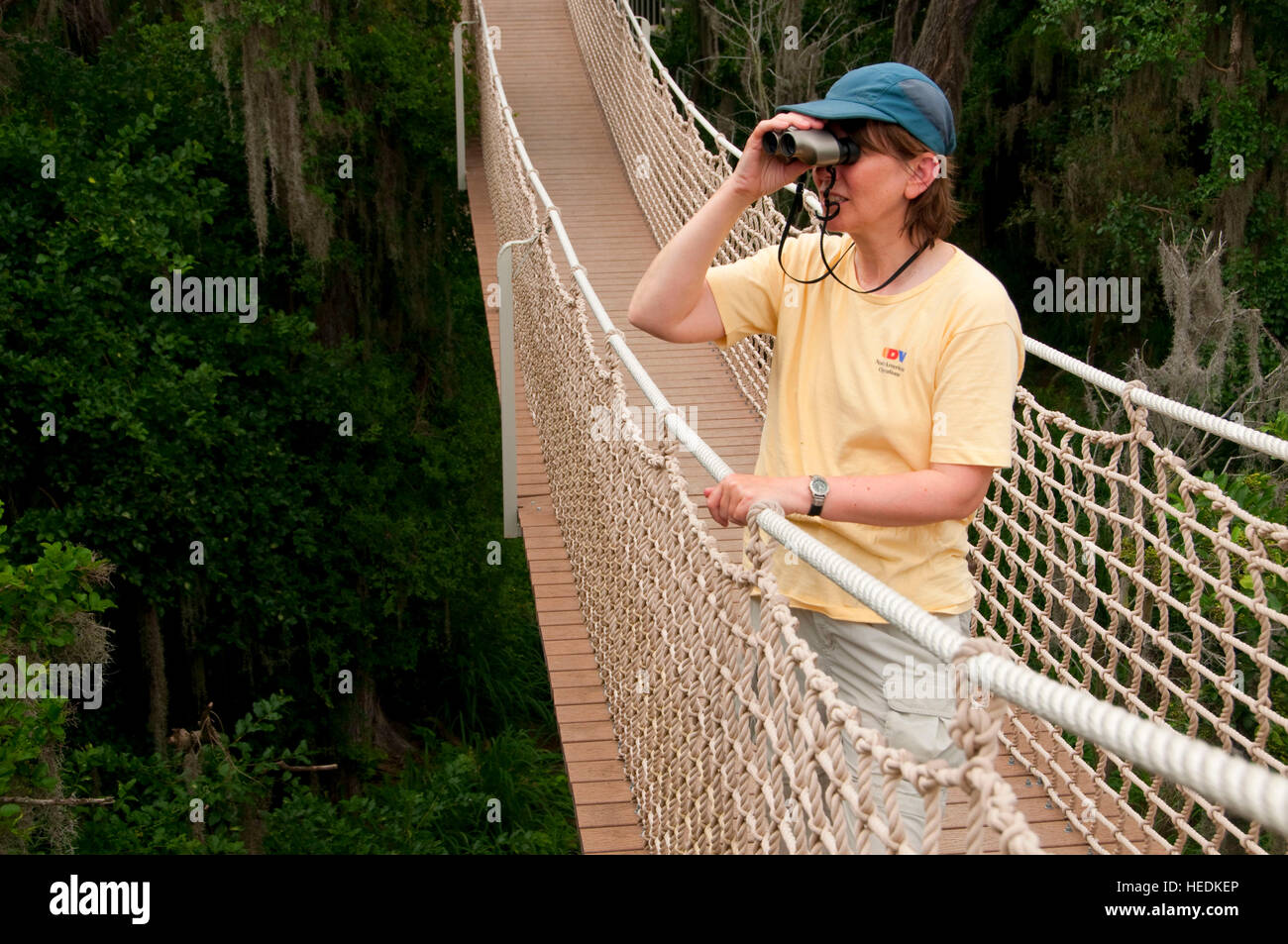 Canopy Trail, Santa Ana National Wildlife Refuge, Texas Stock Photo - Alamy