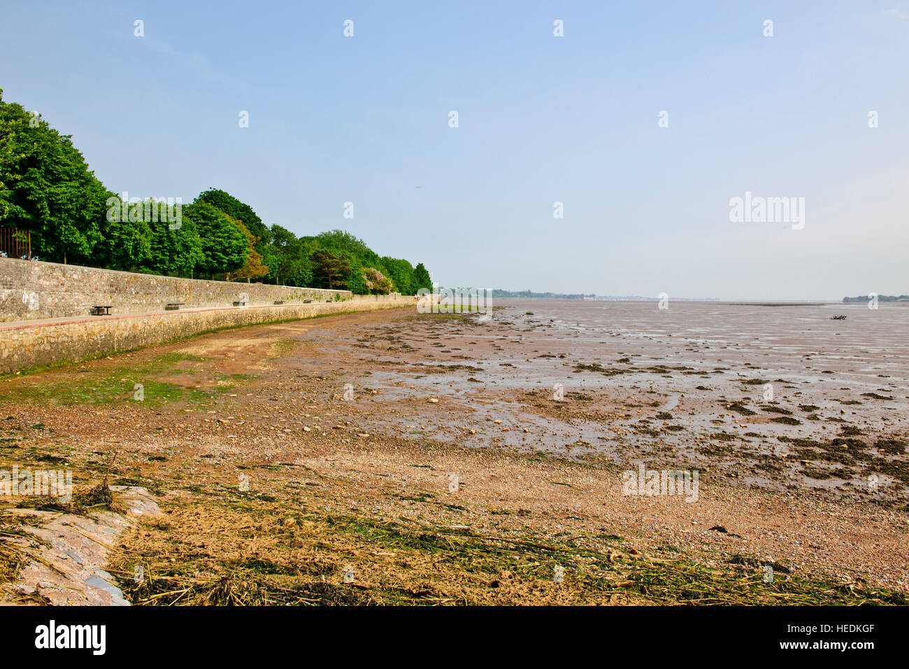 Topsham has increasingly become a desirable and high-value residential ...