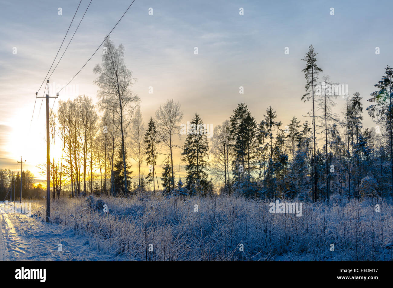 Telephone poles snow hi-res stock photography and images - Alamy