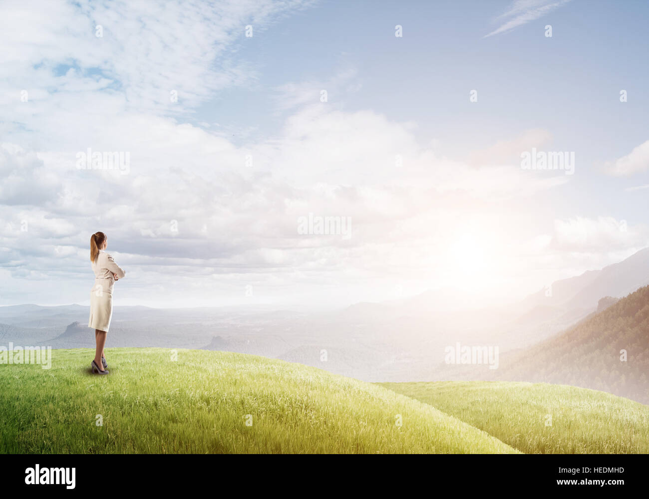 Achieving top of success Stock Photo - Alamy
