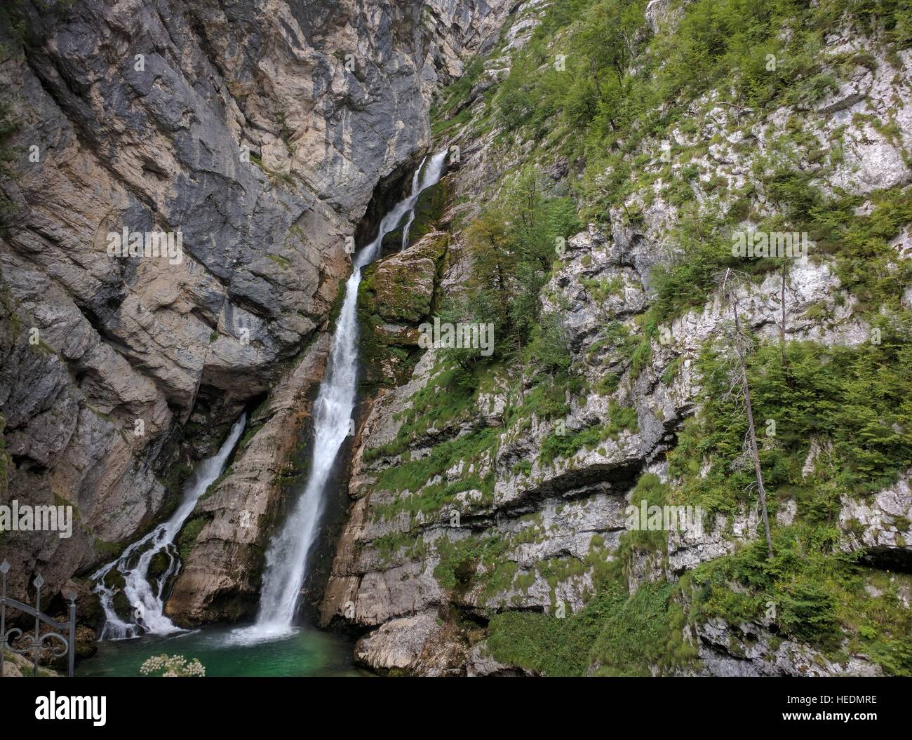 Savica fall and its surrounding forest, Slovenia Stock Photo - Alamy