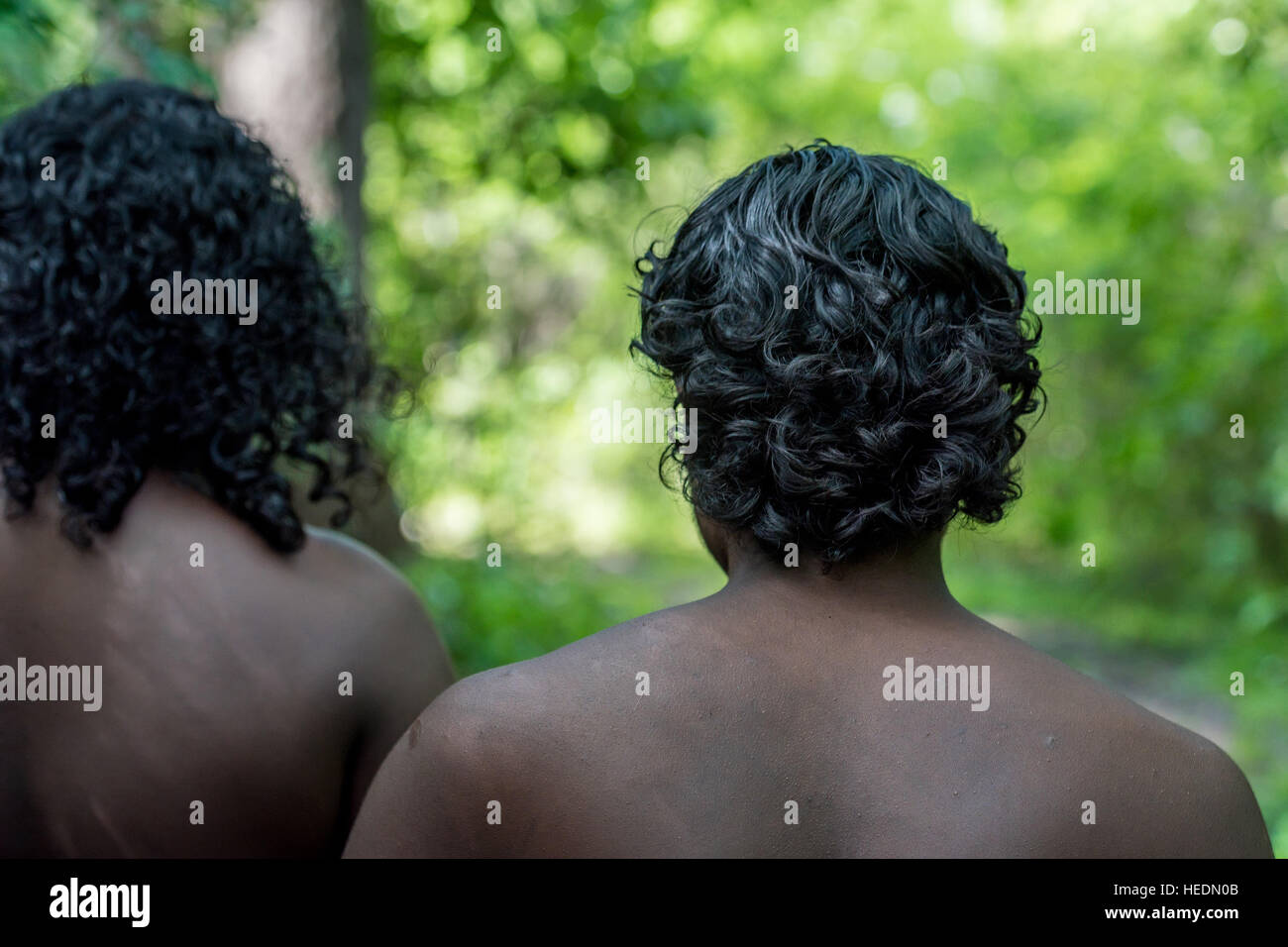Vedda people walking in jungle. Veddas are an indigenous people of Sri ...