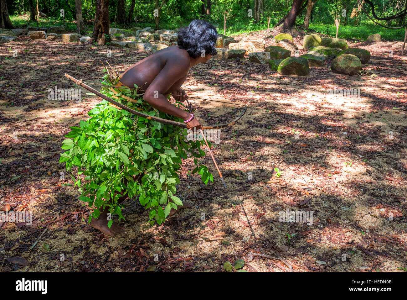Vedda man holding bow and arrows. Veddas are an indigenous people of ...