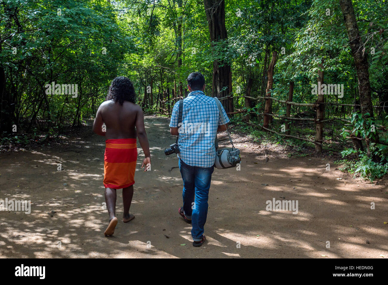 Vedda man walking in jungle with tourist. Veddas are an indigenous ...