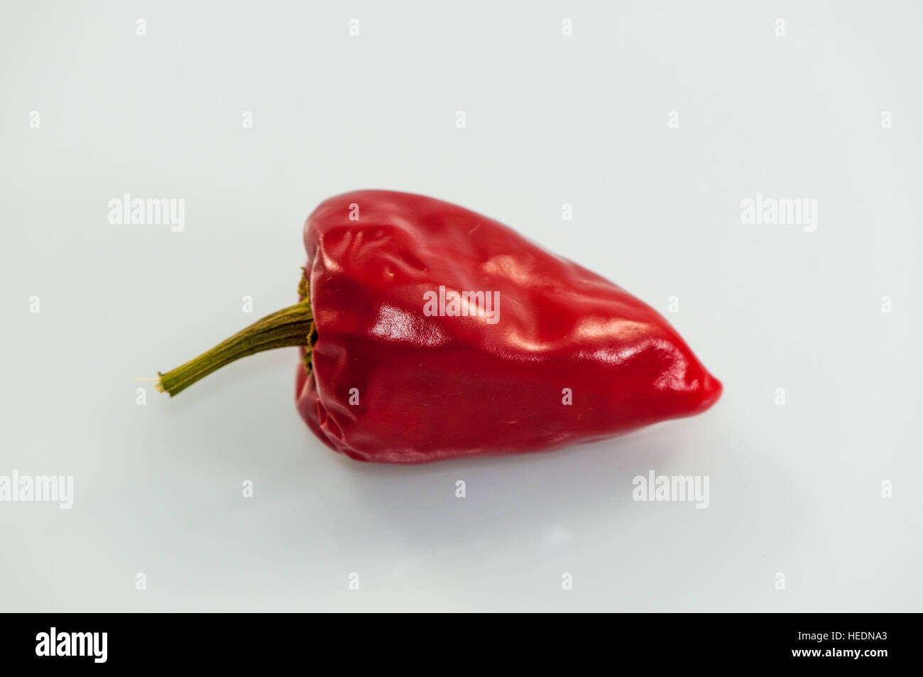 Red pepper overripe over a white background Stock Photo - Alamy