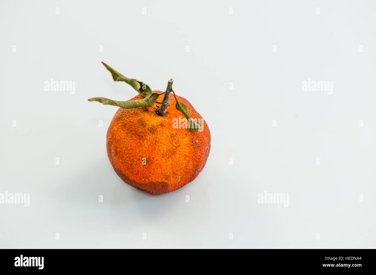 Mandarin overripe over a white background Stock Photo - Alamy