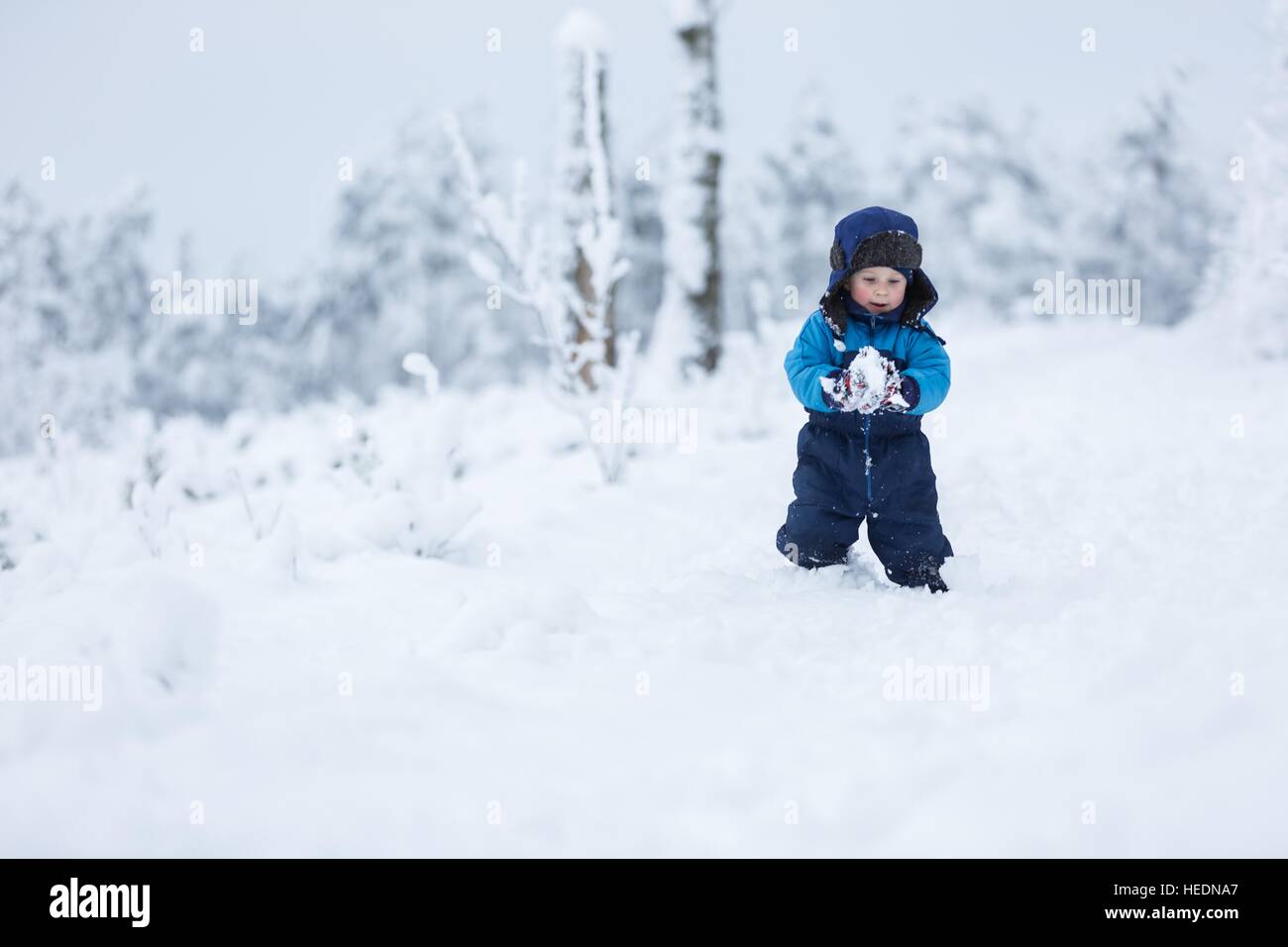 Boy playing in big snow in winter. Happy caucasian child playing in ...