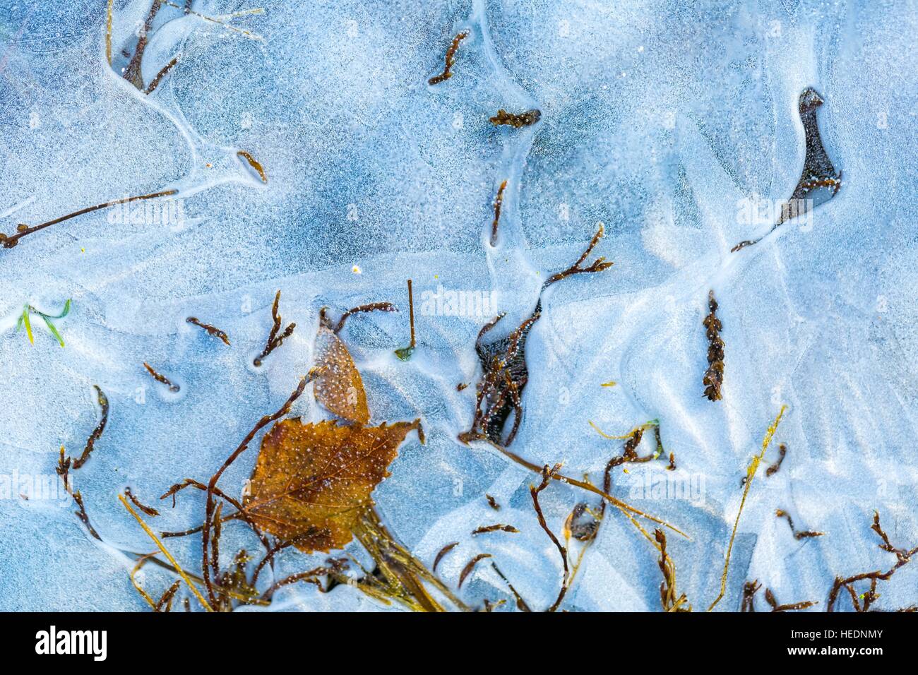 Ice on water texture. Close up of winter frozen water surface Stock ...