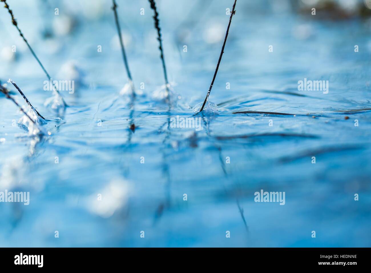 Ice on water texture. Close up of winter frozen water surface Stock ...