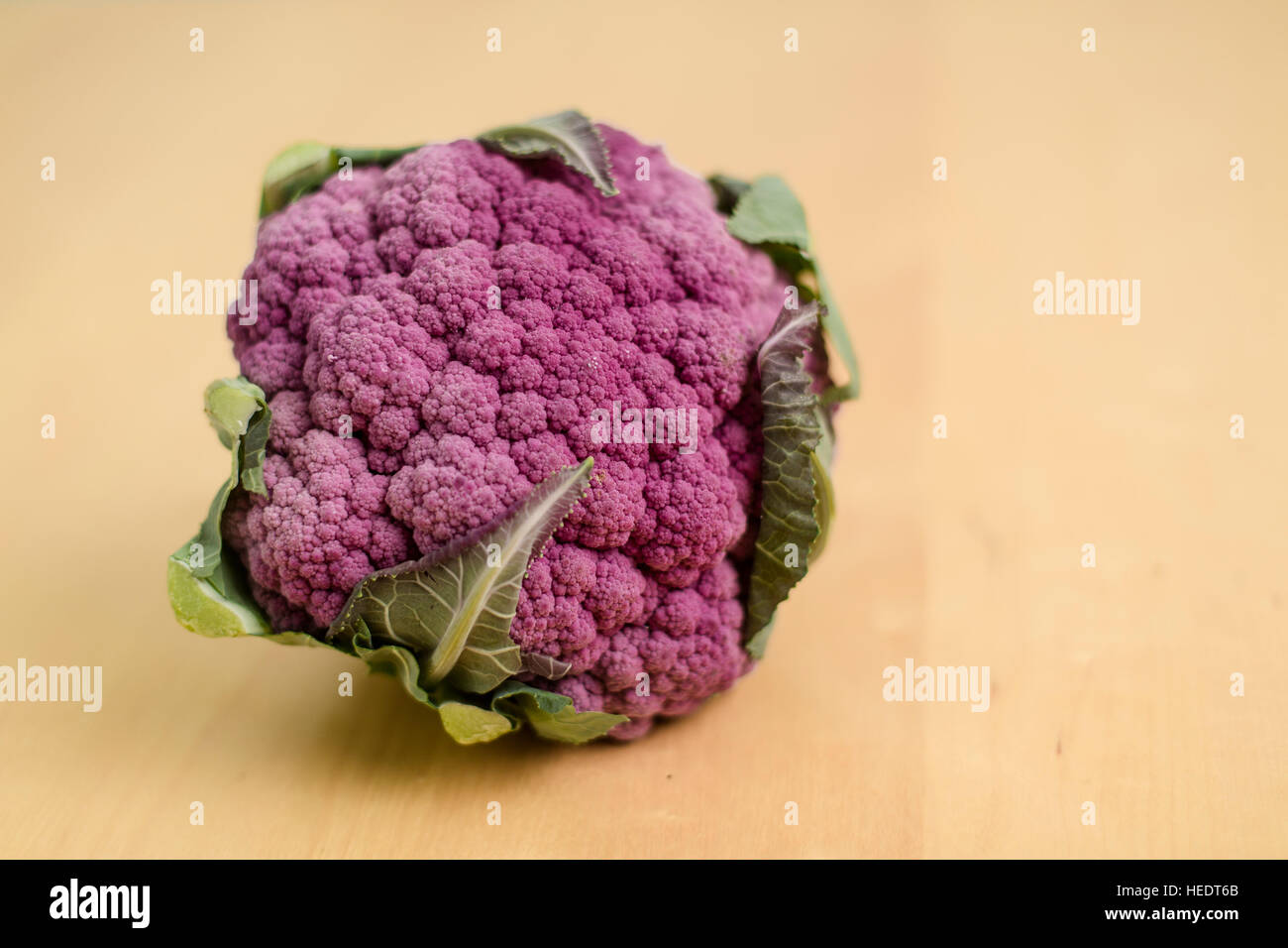 Purple head hi-res stock photography and images - Alamy