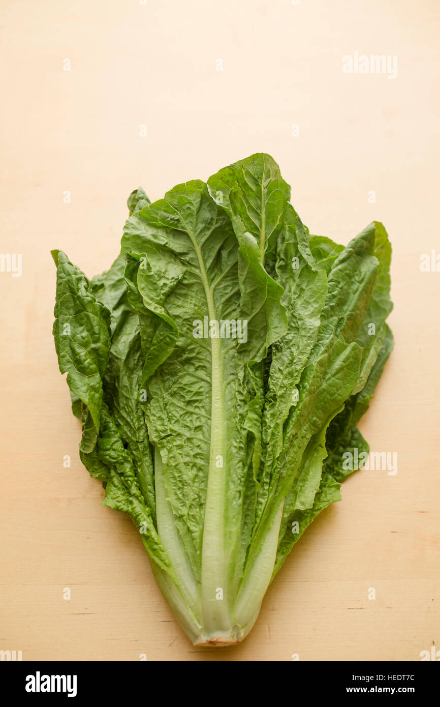 a bunch of green romaine lettuce from above Stock Photo - Alamy