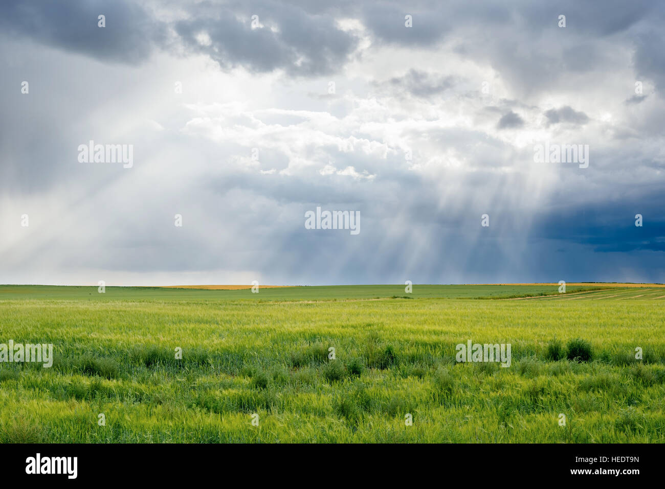 Saskatchewan prairies hi-res stock photography and images - Alamy