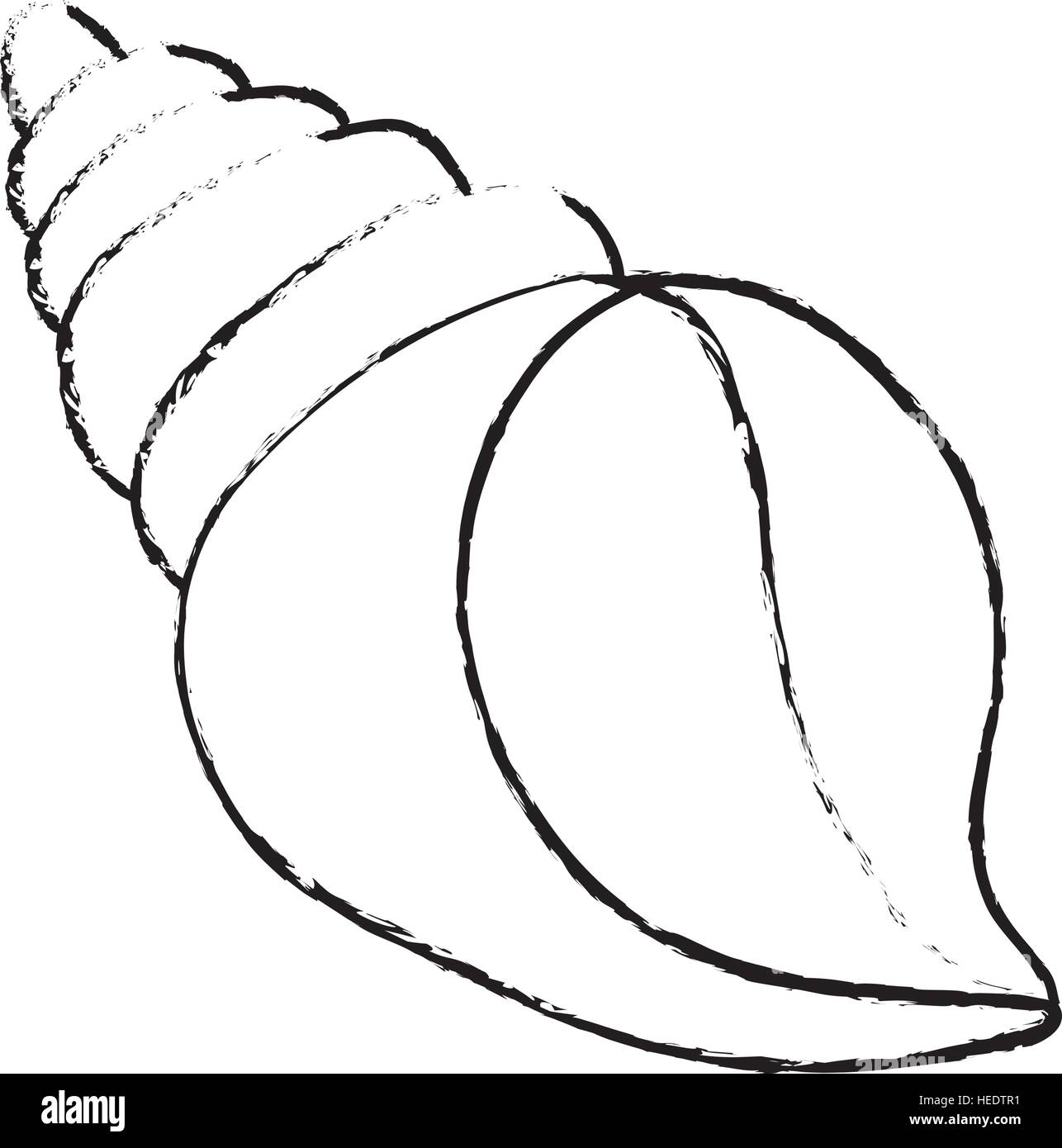 sea shell creature icon vector illustration graphic design Stock Vector ...