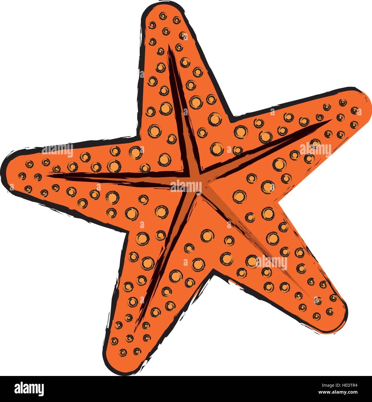 Star sea creature icon vector illustration graphic design Stock Vector ...