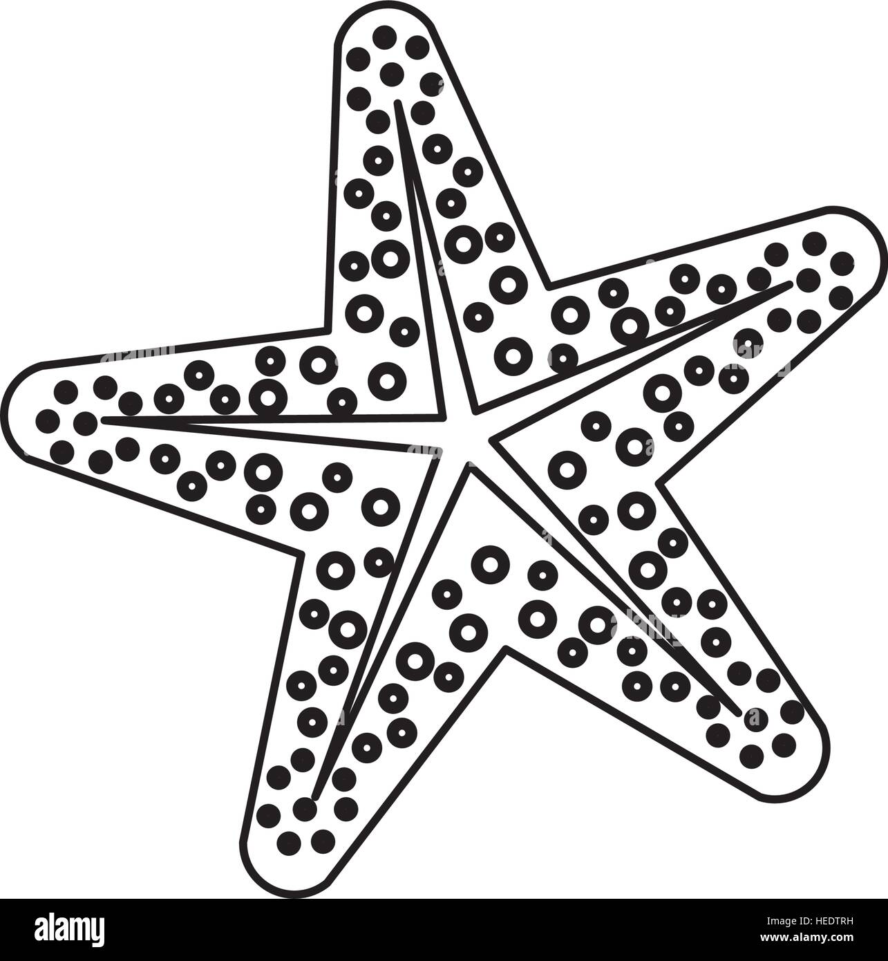 Star sea creature icon vector illustration graphic design Stock Vector ...