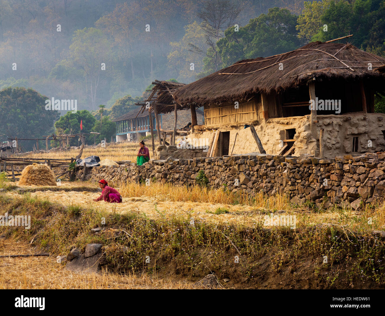 Chuka village with heavy jungle in the background. Chuka village was ...
