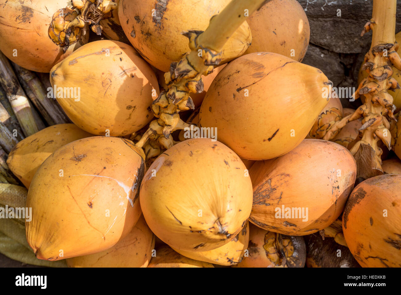 Yellow and orange coconuts Stock Photo - Alamy