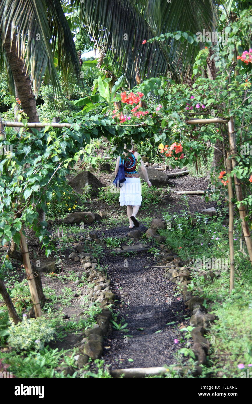 Caribbean path upwards Stock Photo - Alamy