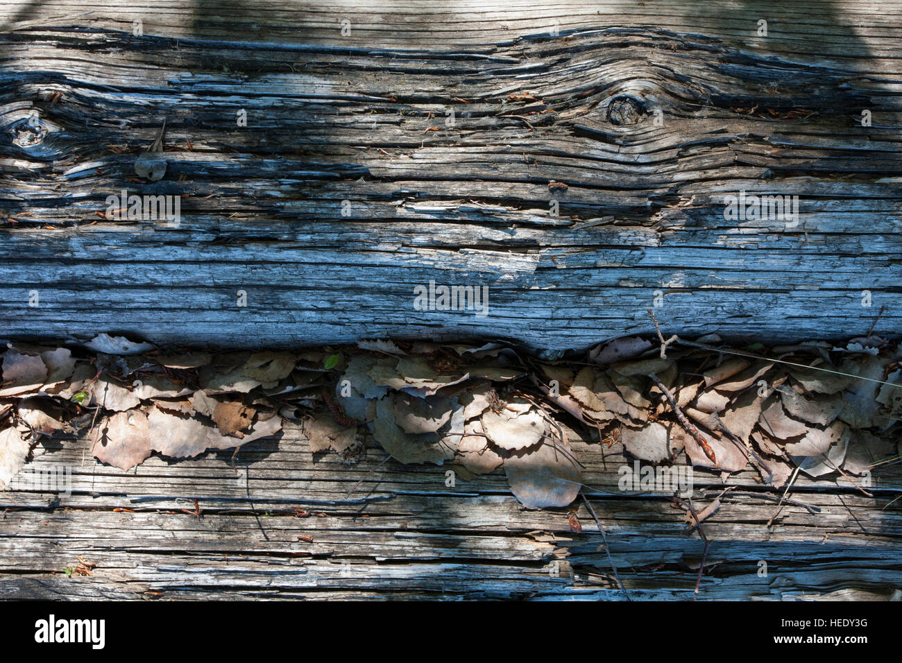 old grey wood Stock Photo - Alamy