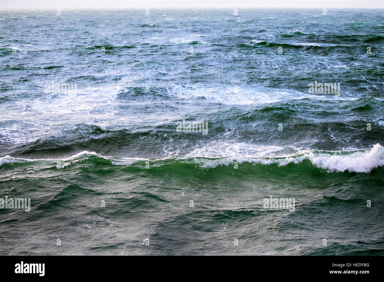 Kara sea (basin of Arctic ocean) in high Arctic (Novaya Zemlya ...