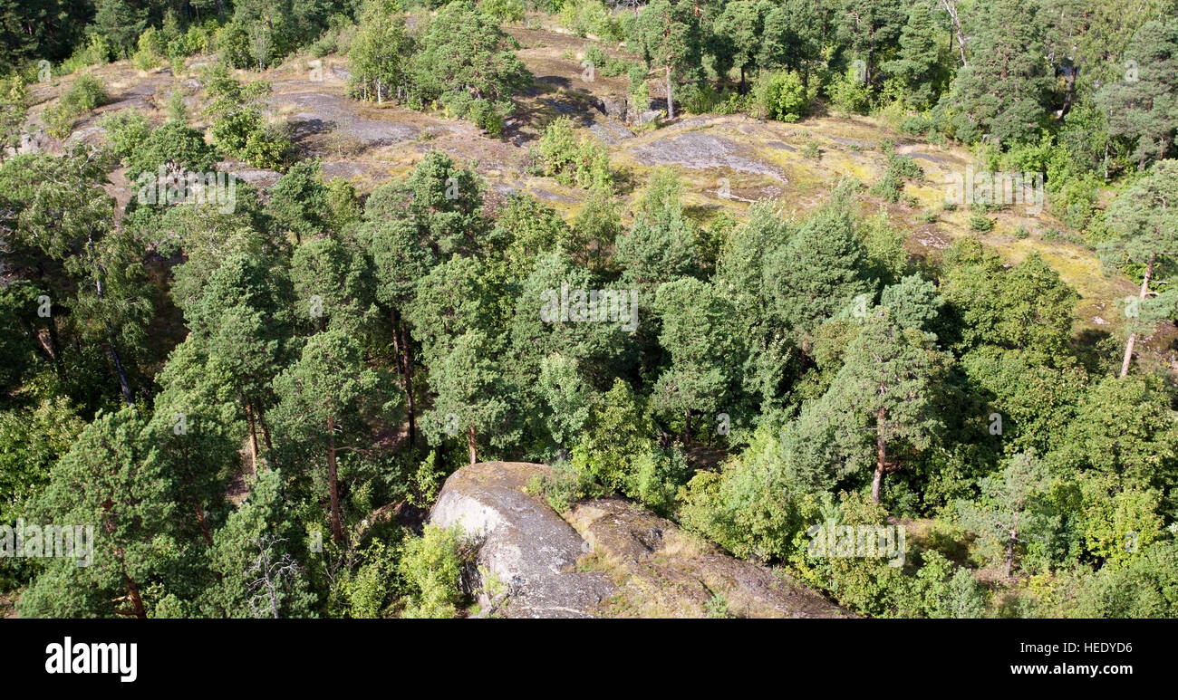 rocky forest scene, Haukkavuori Kotka Finland Stock Photo - Alamy